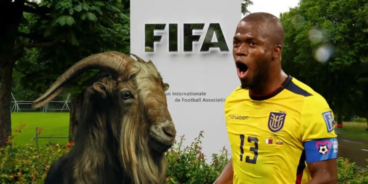 Lo reconocen hasta en la FIFA, la publicación que confirmó que Enner es ...